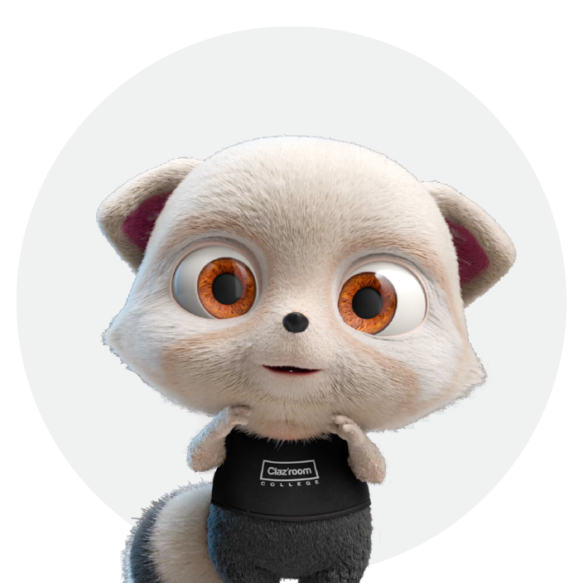 Lecturer Profile | Clazroom